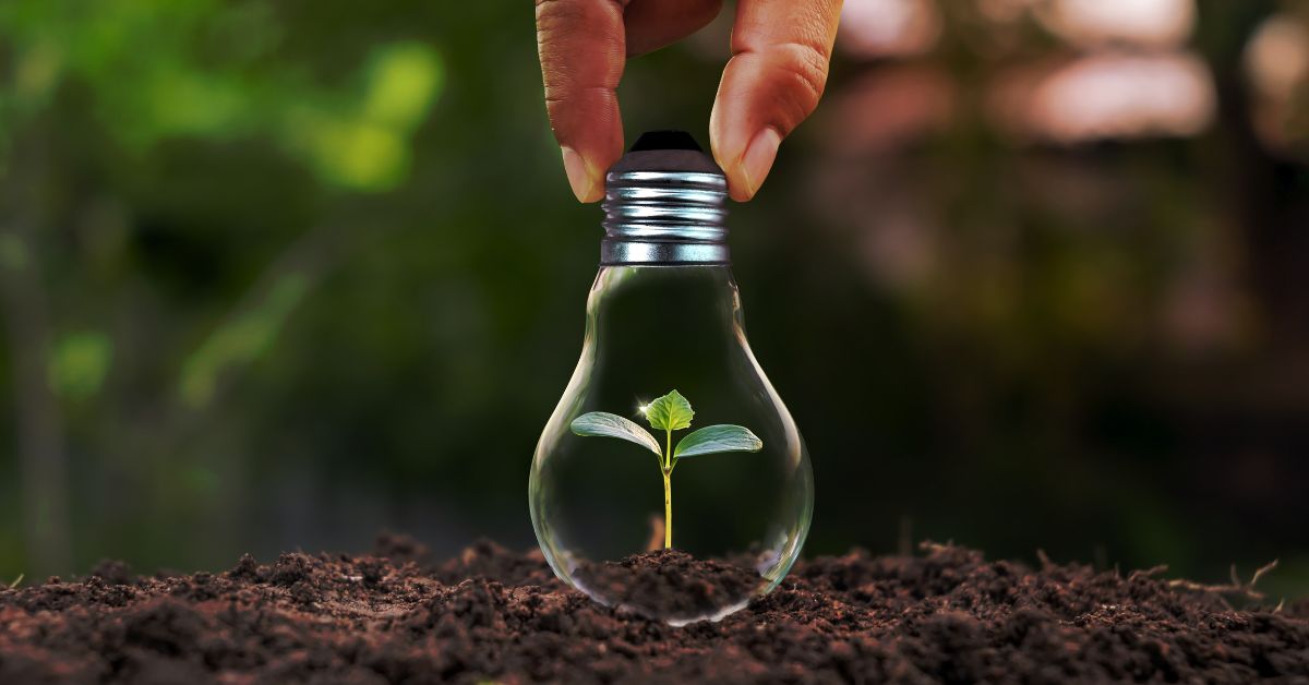 Découvrez les 10 étapes de notre engagement écologique